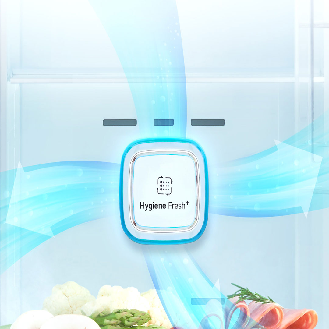 LG Réfrigérateur Multiport GC-Q22FTQEL (458L) Silver Total No Frost